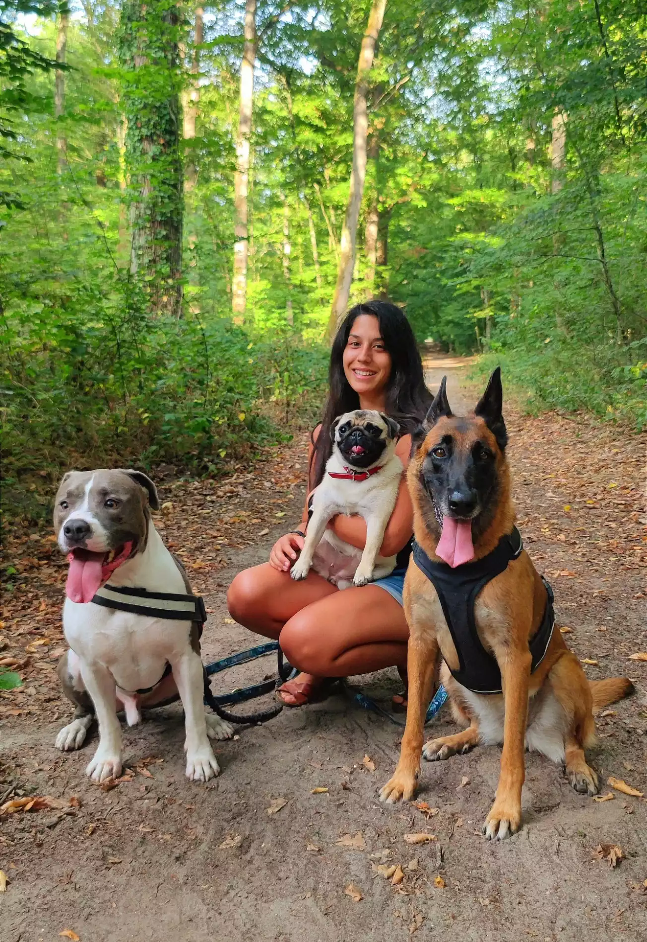 Educateur canin du coin : comportementaliste à votre écoute ! :)